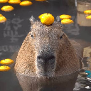 Capy coin Price | CAPY Price, Charts | Crypto.com